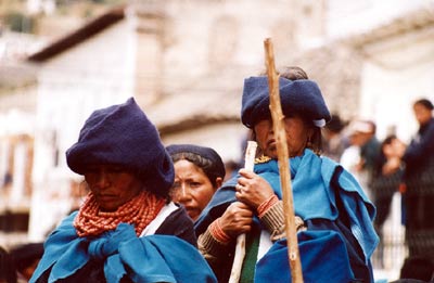 Beyond the Lost Decade: Indigenous Movements and the Transformation of ...